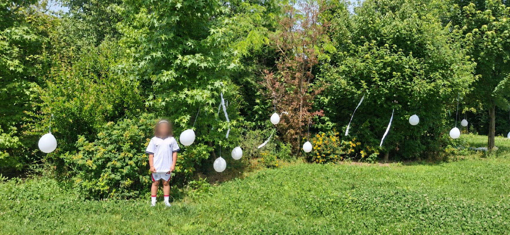 Lodi News - Massalengo - Il bosco urbano si tinge di bianco